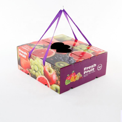 Fruit Corn Packaging