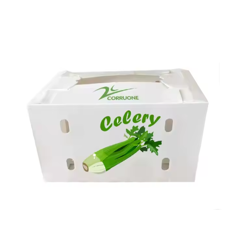 Celery Packaging