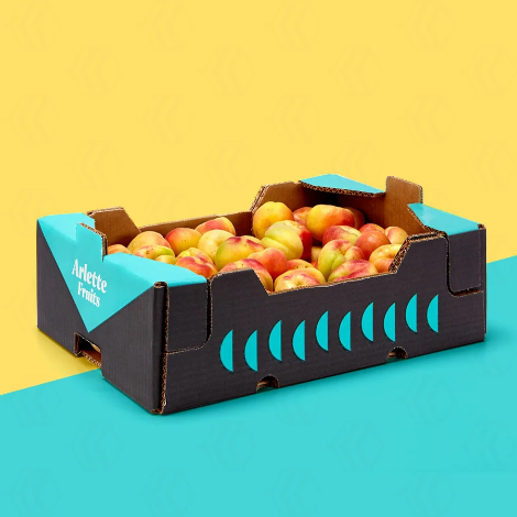 Fruit Corn Packaging