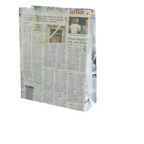 Custom Newspaper Bags