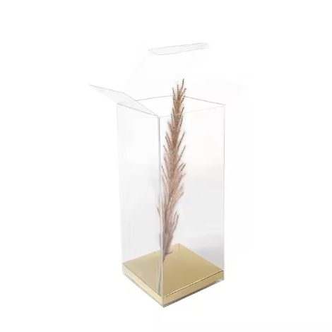 Custom Clear Boxes for Retail and Food