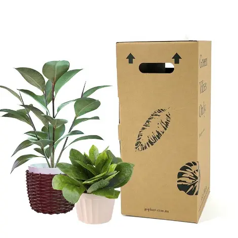 Plant Packaging
