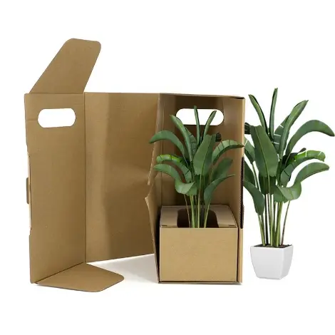 Plant Packaging