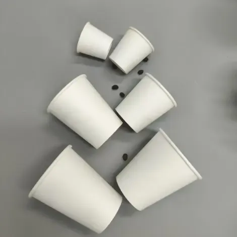 Custom Single Wall Paper Cups Wholesale With Logo | BoxesGen